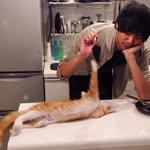 JunsKitchen｜有名人インスタランキング