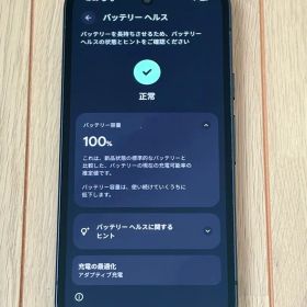 Google Pixel 9a 新品 1,760円 | ネット最安値の価格比較 プライスランク